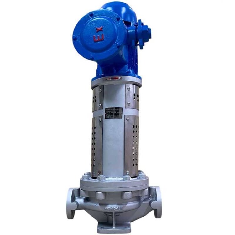 Vertical thermal oil pump 350 degrees Celsius LQLRY40-40-210/2-CEX, 6.3 ...